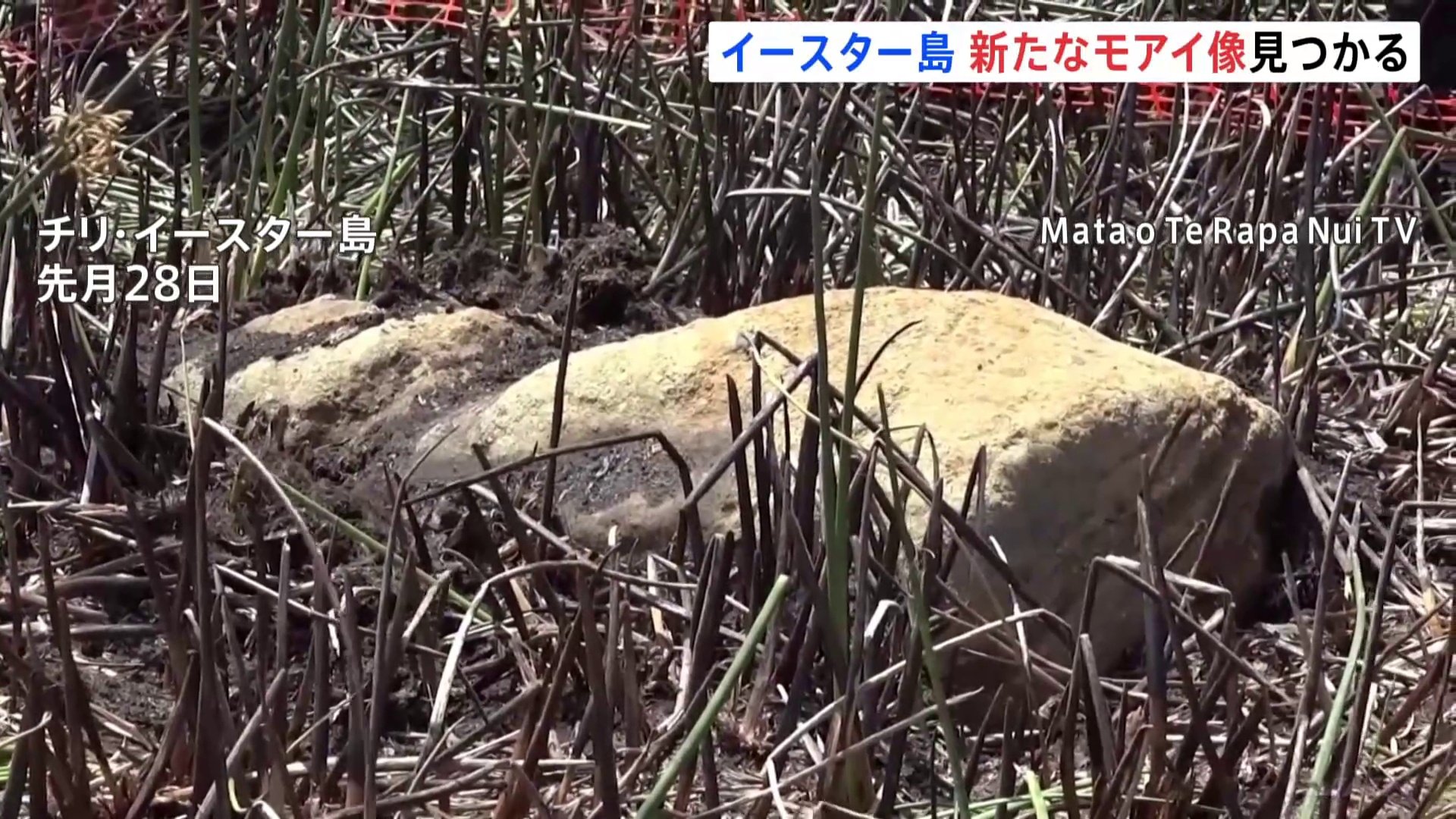 イースター島遠すぎワロタ あいつらどうやって渡ったの : タリアス