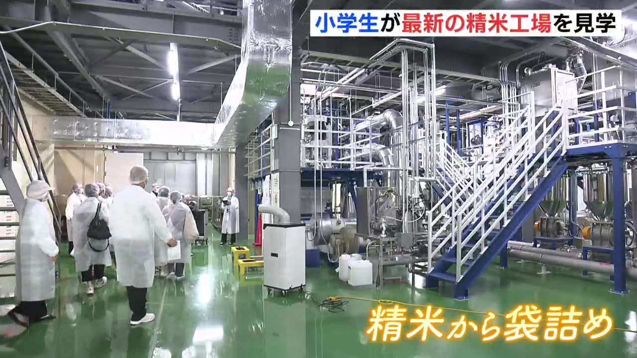 親子で精米工場の最新プラントを見学 ごはん食べくらべも 広島県東広島市 | TBS NEWS DIG