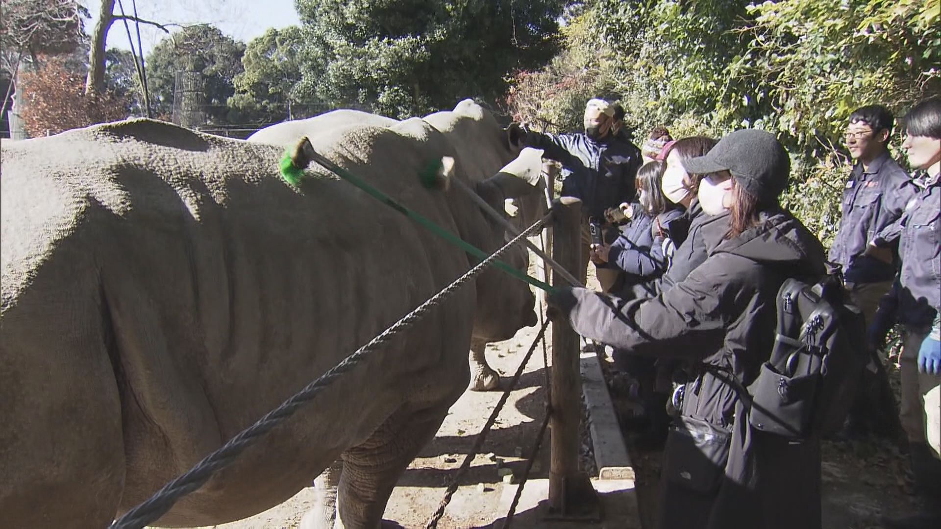 冷たいもので頭が“キーン”となるのはなぜ？「アイスクリーム頭痛」のメカニズムと対処法をご紹介 | CBC MAGAZINE（CBCマガジン）