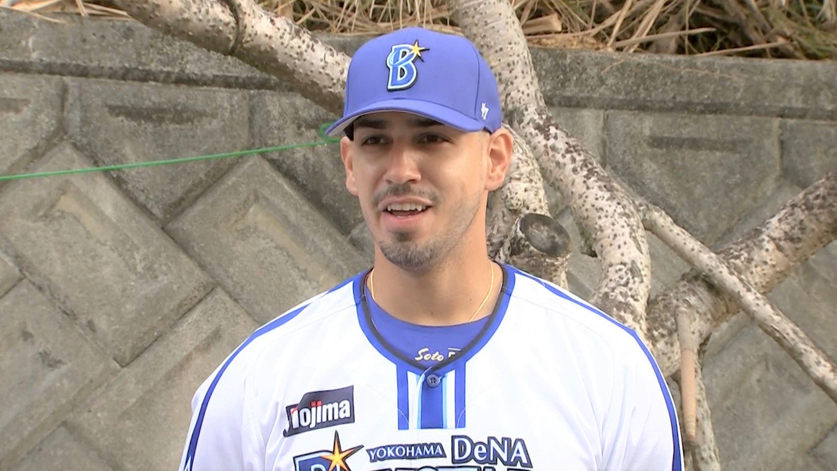 【WBC】DeNAソトがプエルトリコ代表に選出！前回大会MVPストローマンら豪華メンバーで初優勝狙う | TBS NEWS DIG