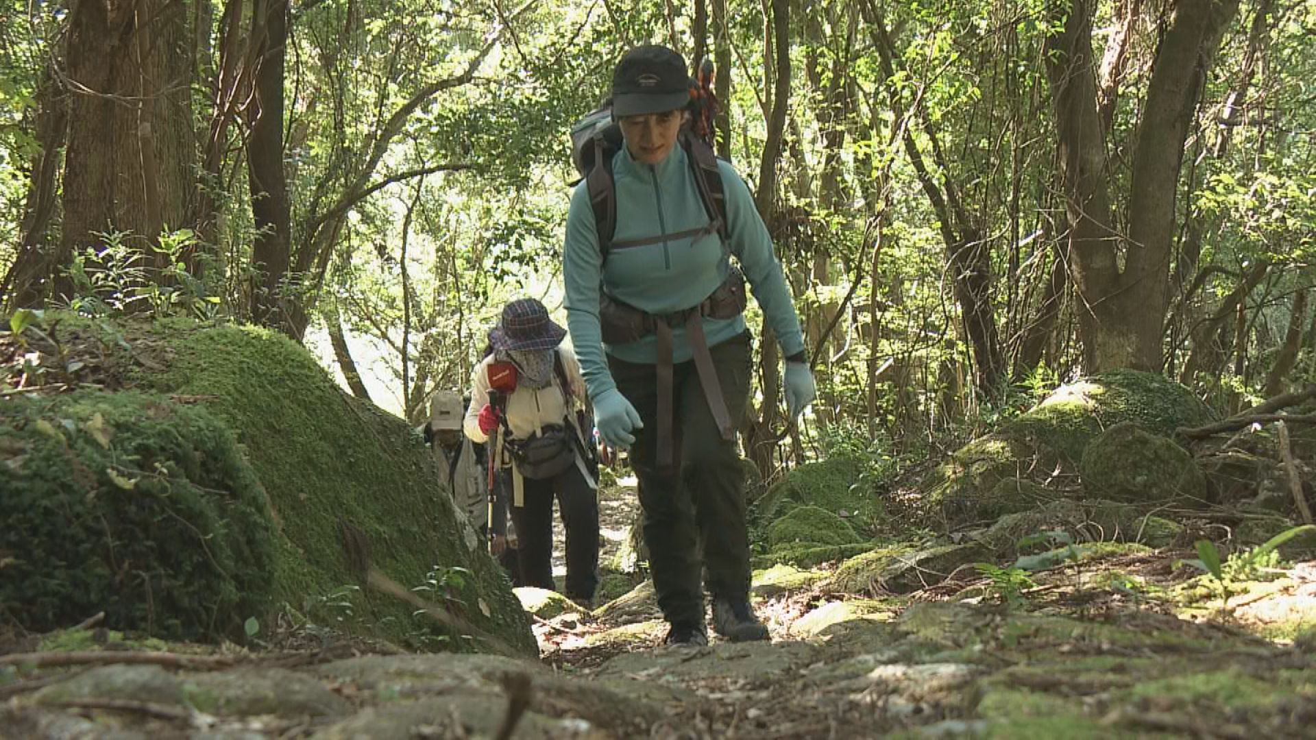 世界遺産が舞台のウォーキング大会 標高647mの山登りや海沿いを歩くコースに分かれて自然を満喫 | TBS NEWS DIG